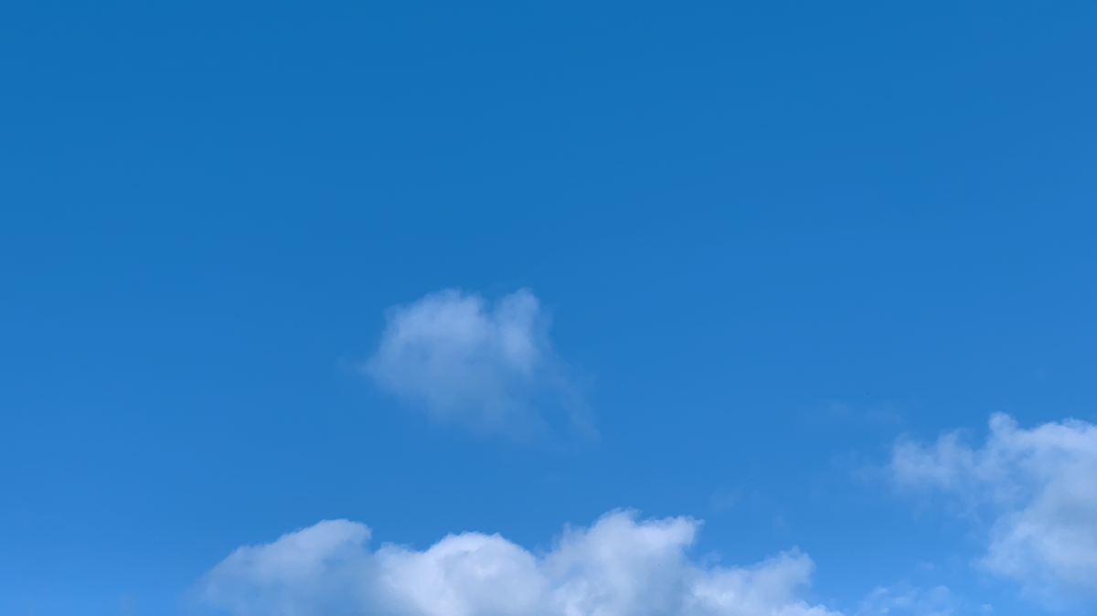 Exercise Tension Myositis Syndrome (TMS)? - Sarno Clinic