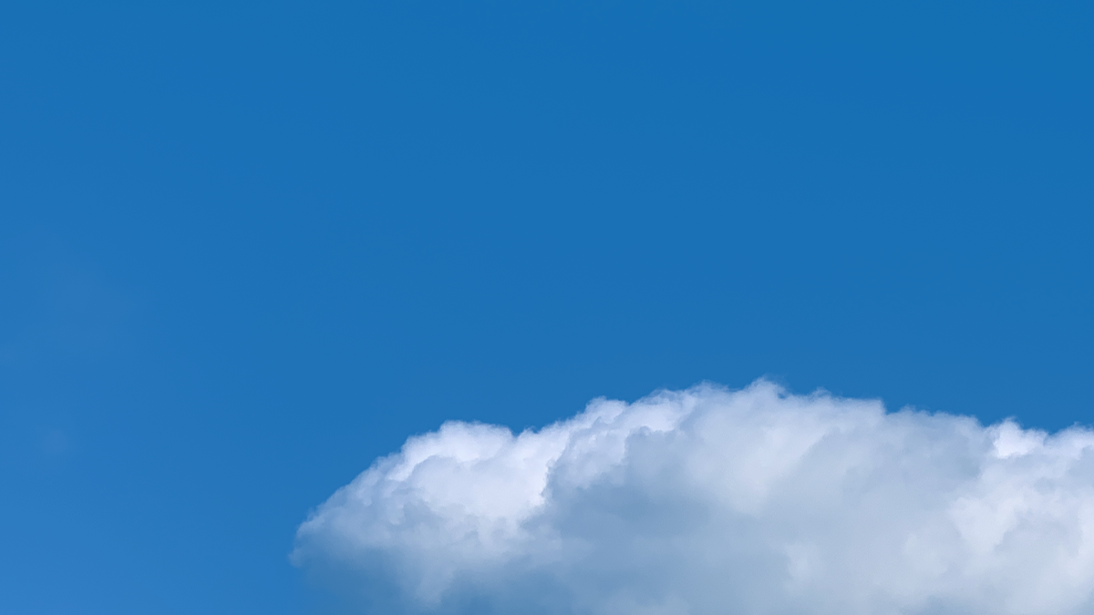 Standard reasons for back pain - Sarno Clinic