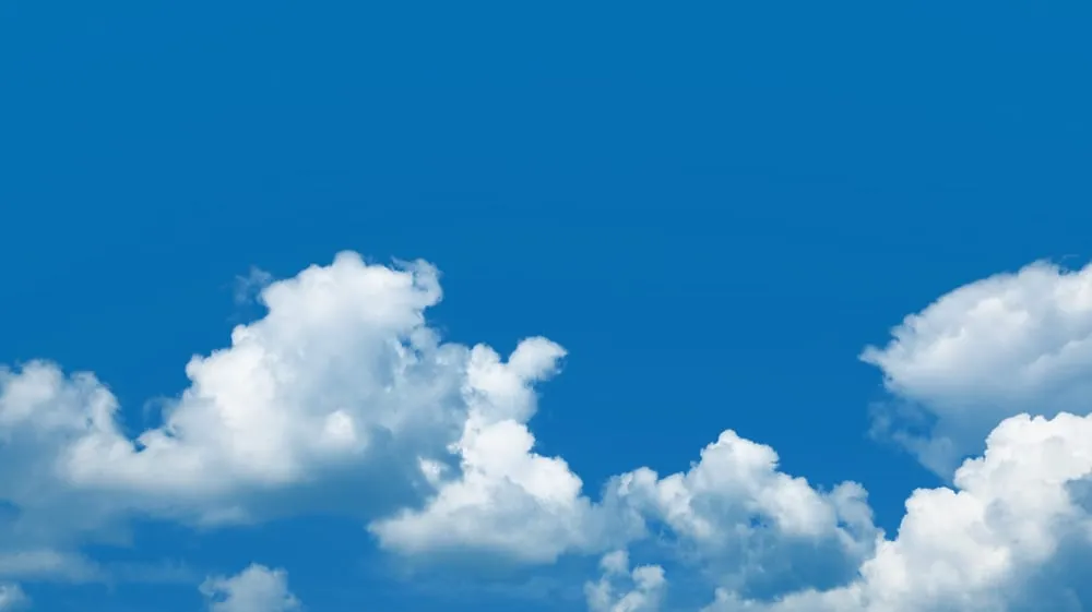 Sarno Clinic - Advancing the Dr. John Sarno method for healing pain