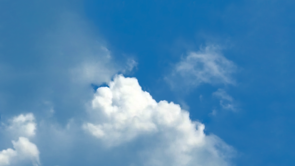 Tension Myositis Syndrome (TMS) recovery - Sarno Clinic